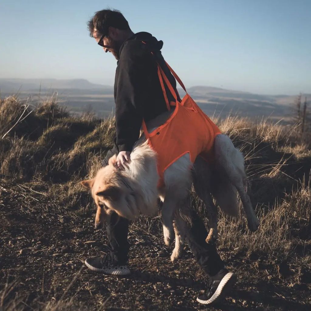Non-Stop Dogwear Emergency Sling - Podgy Paws